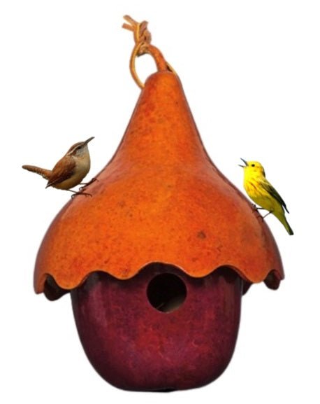 APPLE with HAT BIRDHOUSE - Amish Handmade 2 Gourd Bird House – Saving ...