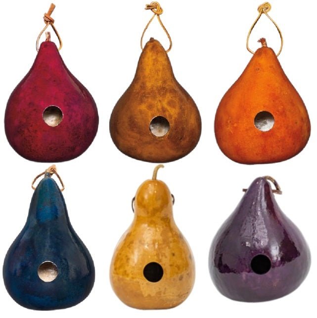 Birdhouse GOURD BIRDHOUSE - Handmade & Finished Bird House – Saving ...