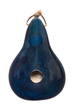 Birdhouse GOURD BIRDHOUSE - Handmade & Finished Bird House – Saving ...