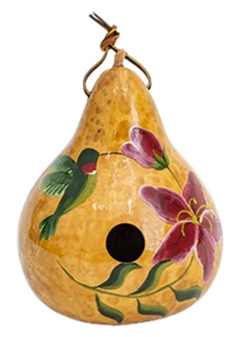 HUMMINGBIRD GOURD BIRDHOUSE - Amish Hand Painted Bird House USA ...
