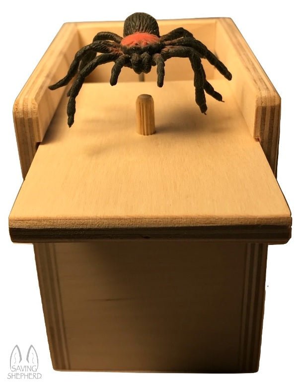 Wooden & Handcrafted Toys Spider Surprise Box Prank – Saving Shepherd