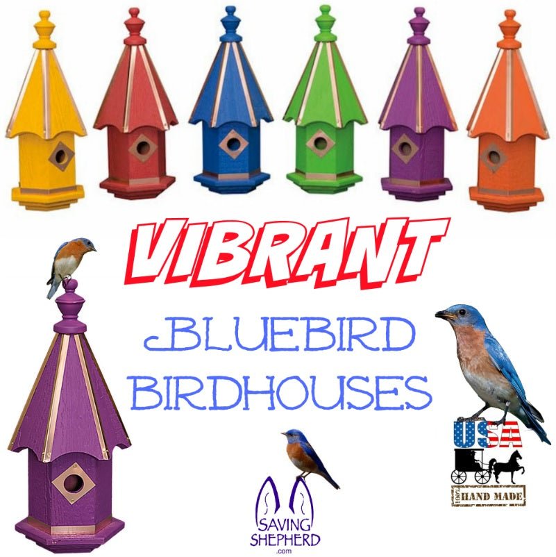 Birdhouses BIRDHOUSE with BIRD FINIAL - 7 Vibrant Colors – Saving Shepherd