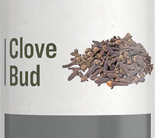 Herbal Supplement CLOVE BUD - SINGLE HERB LIQUID EXTRACT TINCTURES ...