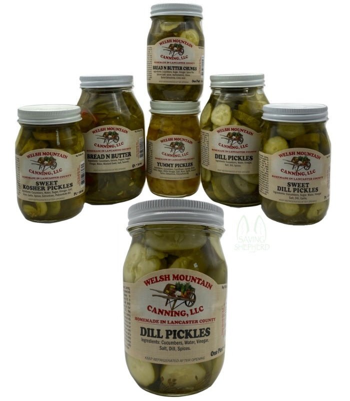 Pickles CLASSIC DILL PICKLES 16 & 32 oz Jars NO SUGAR Amish – Saving ...
