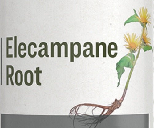 Herbal Supplement ELECAMPANE ROOT - Bitter Tonic – Saving Shepherd