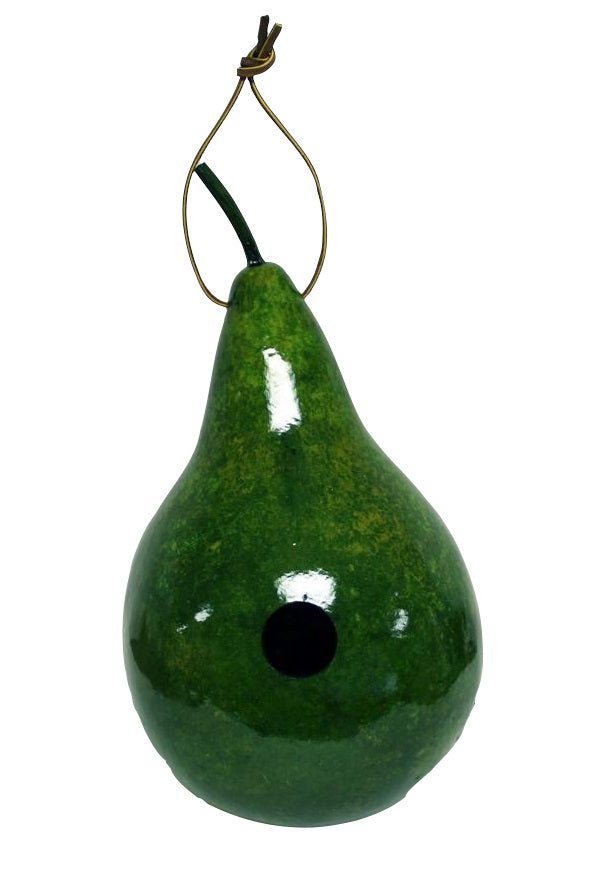 Birdhouse GOURD BIRDHOUSE - Handmade & Finished Bird House – Saving ...