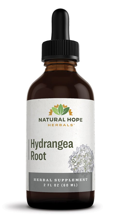 Herbal Supplement HYDRANGEA ROOT - Liquid Extract Tincture – Saving ...