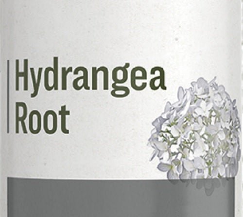Herbal Supplement HYDRANGEA ROOT - Liquid Extract Tincture – Saving ...