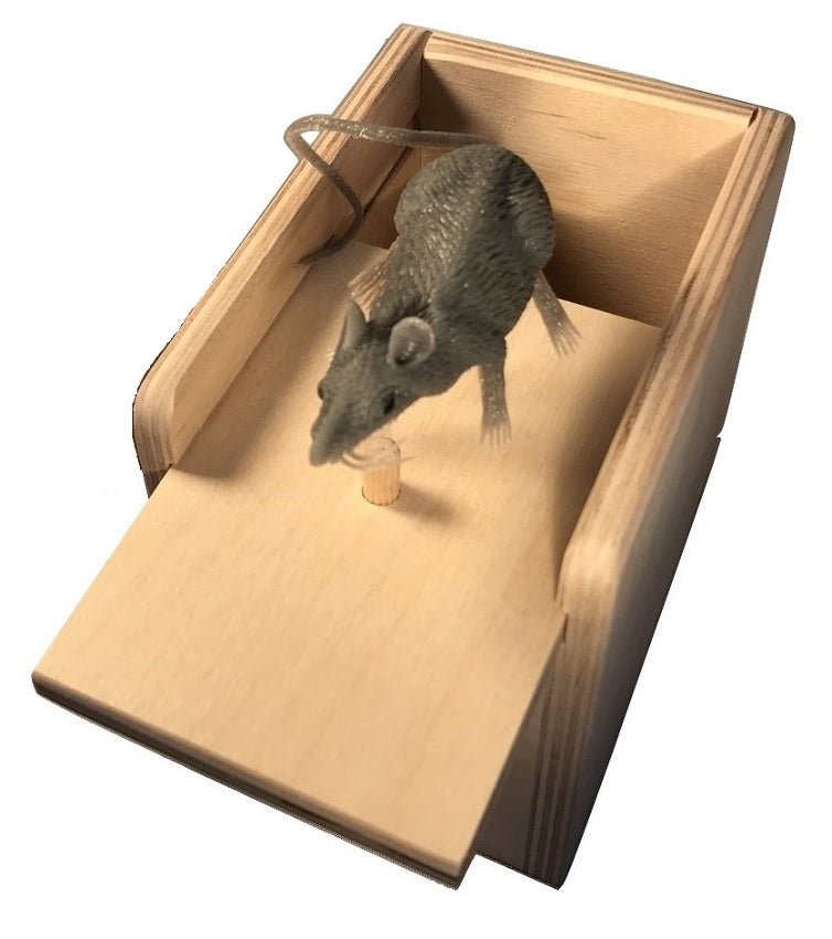 Mouse Surprise Prank Box | Amish Made in USA – Saving Shepherd