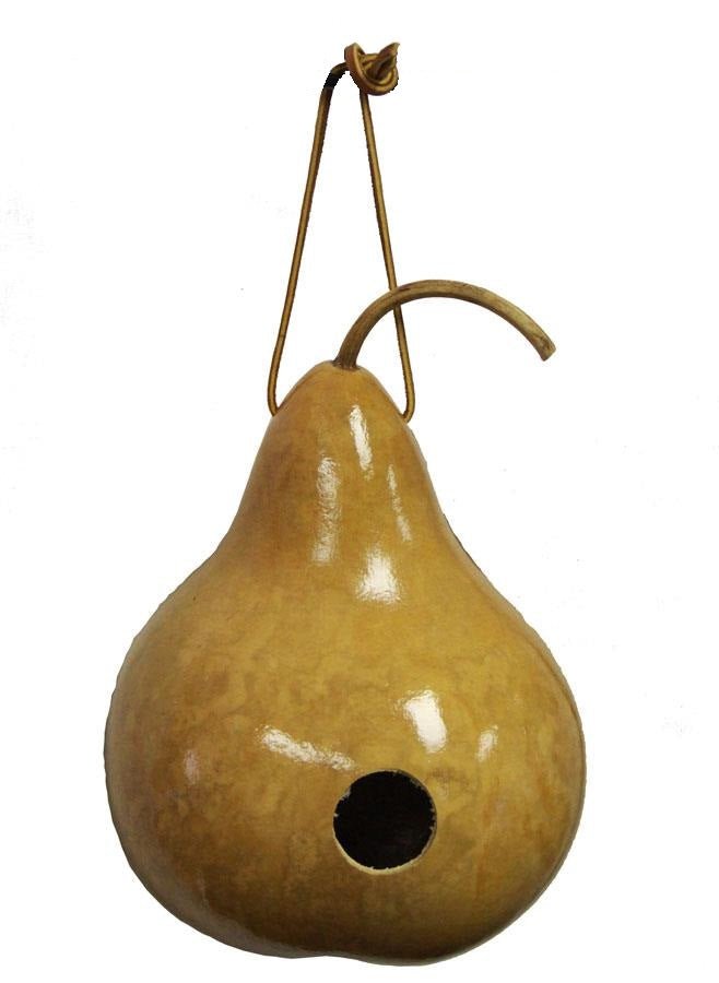 Birdhouse GOURD BIRDHOUSE - Handmade & Finished Bird House – Saving ...