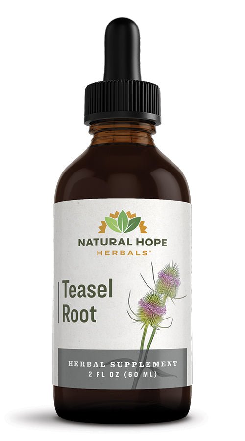 Herbal Supplement TEASEL ROOT Tincture – Saving Shepherd