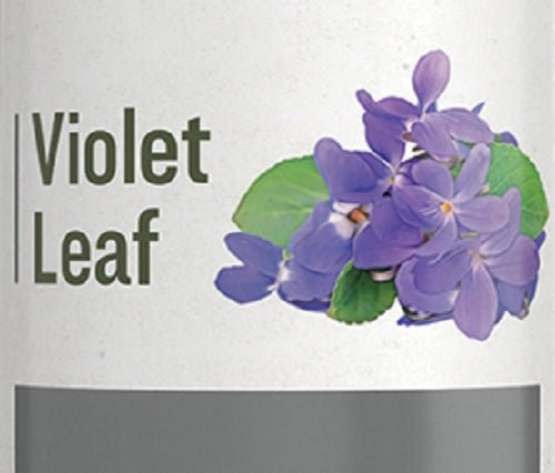 Herbal Supplement VIOLET LEAF - Herbal Extract Tinctures – Saving Shepherd