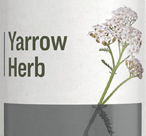 Herbal Supplement YARROW HERB - Herbal Extract Tinctures – Saving Shepherd
