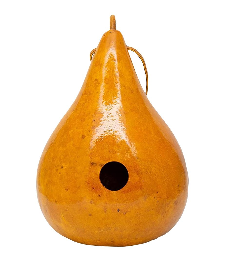 Birdhouse GOURD BIRDHOUSE - Handmade & Finished Bird House – Saving ...
